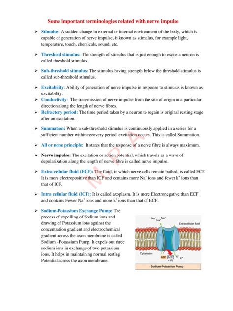 Conduction Of Nerve Impulse Pdf