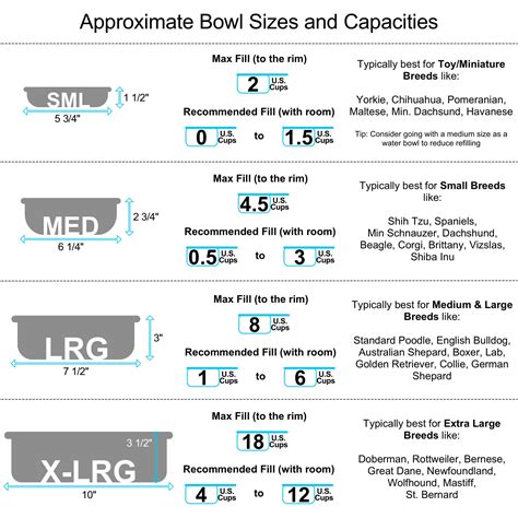 Height Chart Vector At Collection Of Height Chart Vector Free For Personal Use