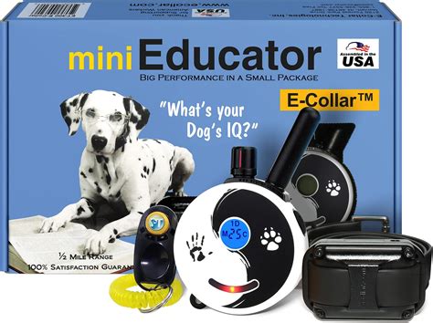 Mini Educator E Collar Et 300 Et 302 Dog Training Collar
