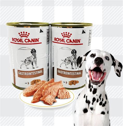 Gastrointestinal Veterinary Diet For Dogs Trial Bundle Pack Of 2x400g ...