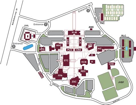 Discover Tamiu