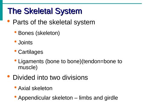 SOLUTION Skeletal System Bone Classification Structure Powerpoint Chapter Studypool