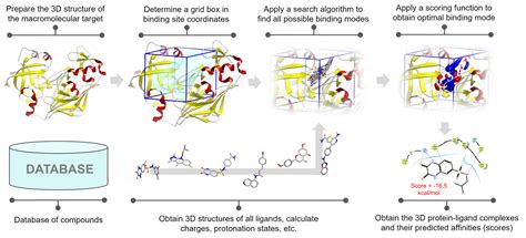 Best Practices For Docking Based Virtual Screening Cces Unicamp
