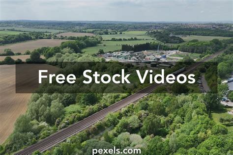 Tree Like Structure Videos Download The Best Free 4k Stock Video