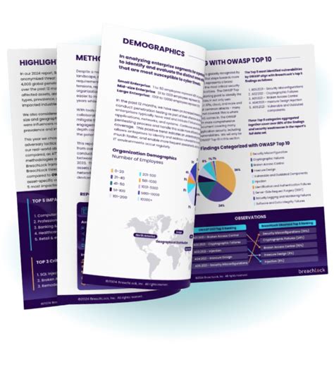 2024 Breachlock Penetration Testing Intelligence Report