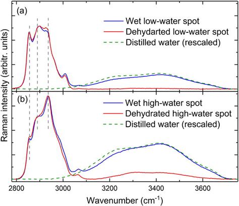 High Wavenumber Raman Analysis Intechopen