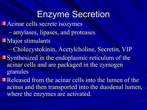 Pancreas Endocrine Function Ppt Ppt Ppt Ppt