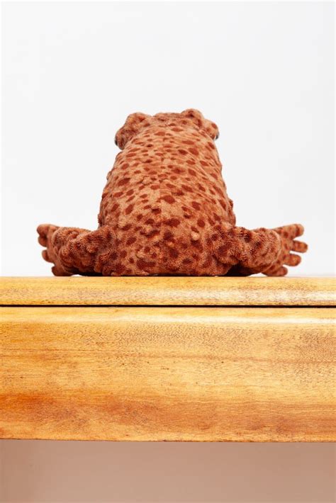 Jellycat Toby Toad Ms Rudolphs