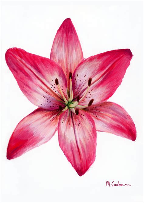 Lily Print Flower Painting Acrylic Botanical Painting Gallery Wall Nature Art Pink Wall Art