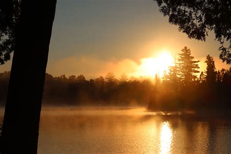 Days In North Algonquin Kiosk White Birch Mouse Erables Maple Trip Report