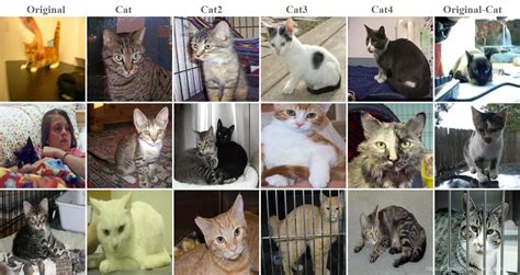 【python】合并多张图片为一行一列，且子图之间含有间隔python 间隔拼接图片 Csdn博客