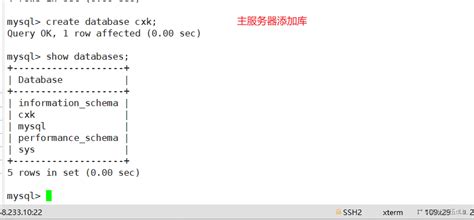 Mysql的主从复制和读写分离 Csdn博客