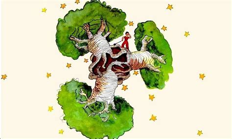 Planeta Azul EcologÍa Ana María Manceda Los Baobabs Los Gigantes