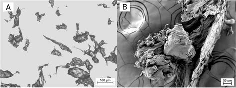 Microplastics Under A Optical Microscope And B Field Emission