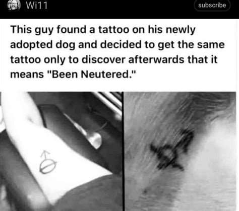 German Tourist Fighting With A Russian Bouncer And Learns A Lesson Rholup