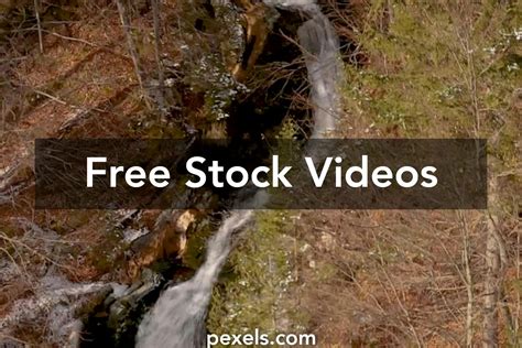 Desktop Flowe Wallpaper Videos Download The Best Free 4k Stock Video Footage And Desktop Flowe