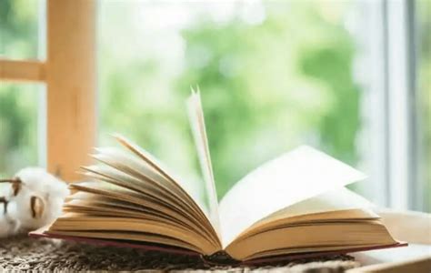 阅读，是爱读书的人才懂的快乐！可能性文学世界