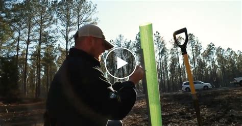 Nativ Nurseries Blog Page 2