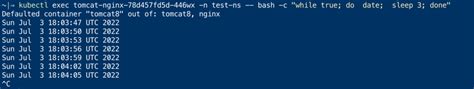 Kubectl Exec Examples Execute Shell Commands Into A POD K8s