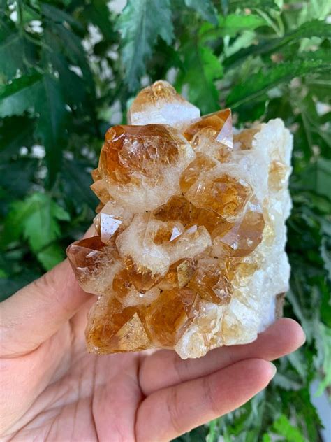 Brazilian Citrine Clusters With Cut Flat Base Honey Citrine Quartz