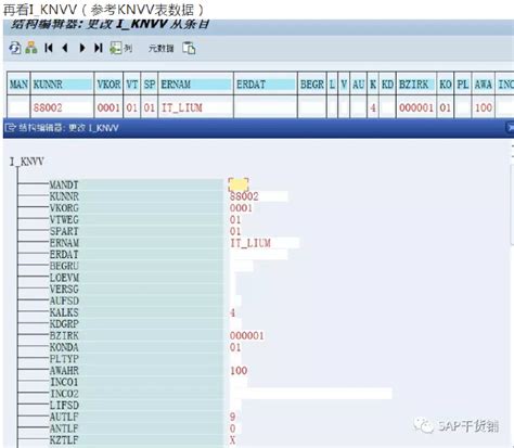 xd01创建扩展客户前台以及bapi测试步骤 sap刘梦 新浪博客 csdn博客