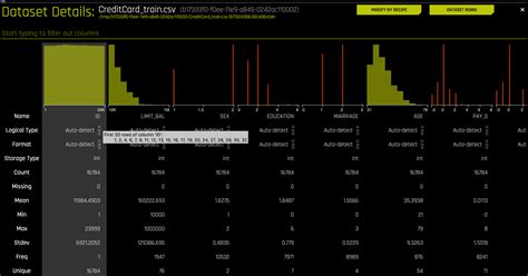 The Datasets Page — Using Driverless Ai 1810 Documentation
