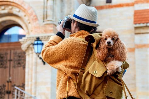 Emerging Travel Trends - The Urban Crews