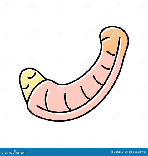 Neck Chicken Color Icon Vector Illustration Stock Vector Illustration