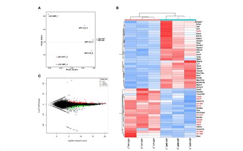High Throughput Sequencing Showed Differentially Expressed Genes Download Scientific Diagram