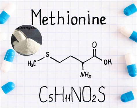 Dl Methionine Một Hợp Chất Quan Trọng Trong Chăn Nuôi Và Công Nghiệp Thực Phẩm