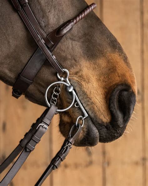 Different Types Of Snaffle Bits And Their Uses At Janice Kiefer Blog
