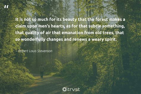 Ancient Forest Quotes