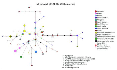 The Median Joining Networks Mj Of 121 R1a Z93 Haplotypes The Circle Download Scientific