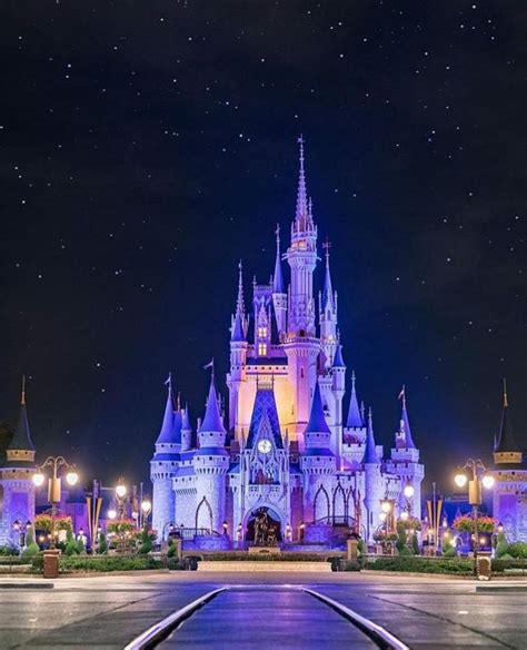 Magical Disney Castle At Night Disney World Castle Background Disney