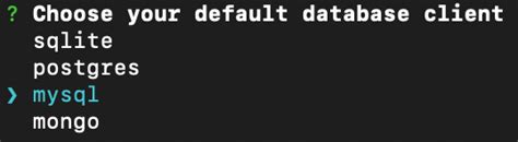 Strapi와 Mysql 연동