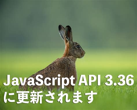 JavaScript API のリリースバージョンが に更新されます マルティスープStaffブログ