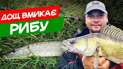 ДОЩ ВМИКАЄ РИБУ !!! спінінг в непогоду, судак,щука, багато клювань ...