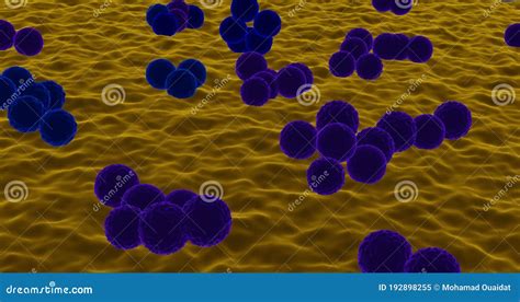 Staphylococcus Aureus In 3d Illustration 192898255