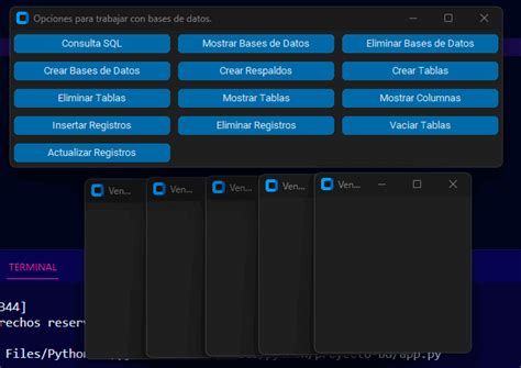 Clase para funciones del programa con TK y CTK Programación Fácil