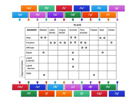 Classification Of Consonants Diagram Berlabel