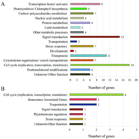 Bar Charts With The Functional Annotation Groups And The Number Of A