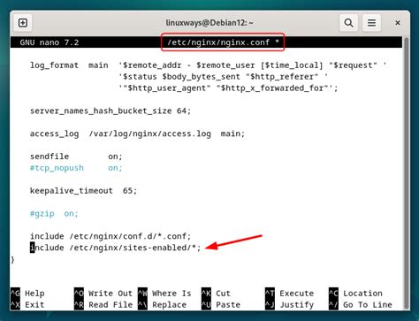 How To Install Nginx In Debian LinuxWays