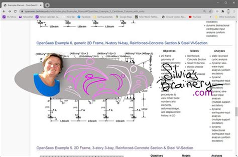 OpenSees Examples Manual Files OpenSeesPy Silvia S Brainery