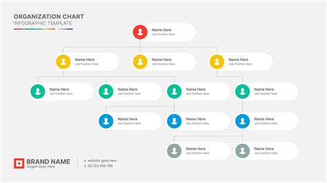 Organizational Chart Tree Diagram Dendrogram Business Infographic