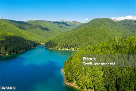 산림 호수 풍경입니다 공중 보기 산림 사이의 청록색 호수를 볼 수 있습니다 아름다운 청록색 산악 호수와 녹색 숲 위에 국립 공원 녹색 소나무와 전나무 나무 0명에 대한 스톡