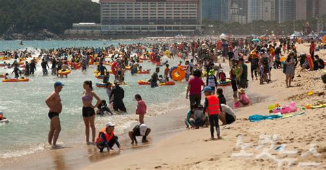 막바지 휴가 부산 해수욕장 225만명 피서 즐겼다