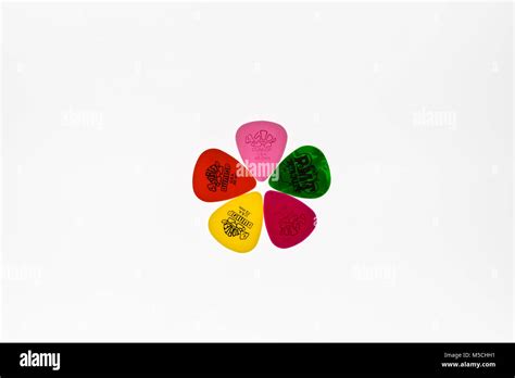 Coloured Guitar Plectrums In Shape Of Flower On White Background Stock