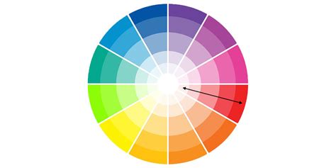 How To Choose The Colour Palette For Your Project Alma De Luce