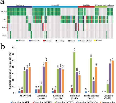 Prevalence And Spectrum Of Akt1 Pik3ca Pten And Tp53 Somatic