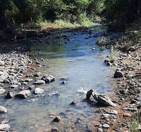 Ingwavuma Emachobeni Business In Ethekwini Portal